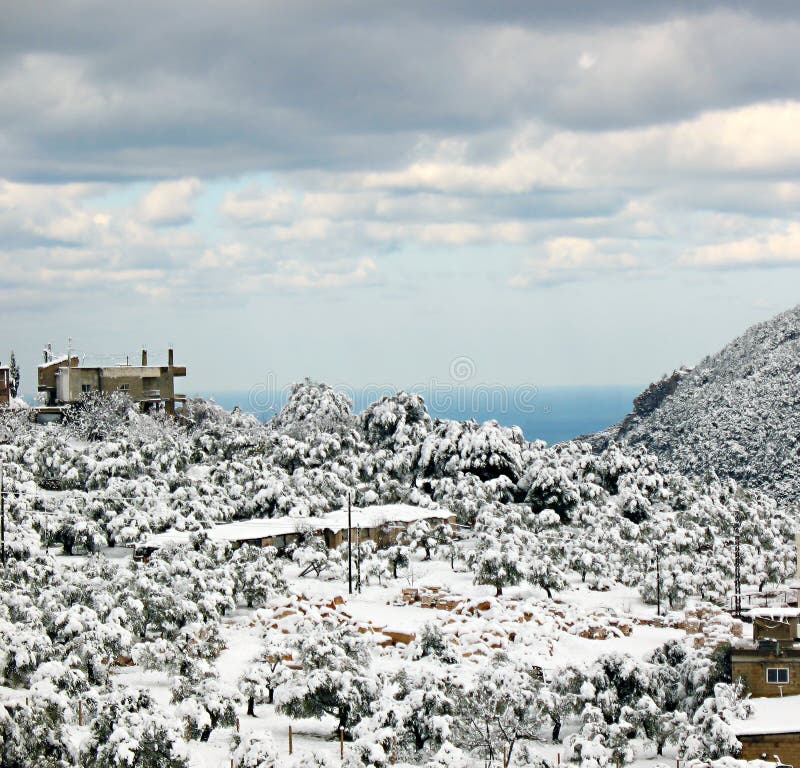 Snow and Sea stock photo. Image of christmas, landscape - 38083500