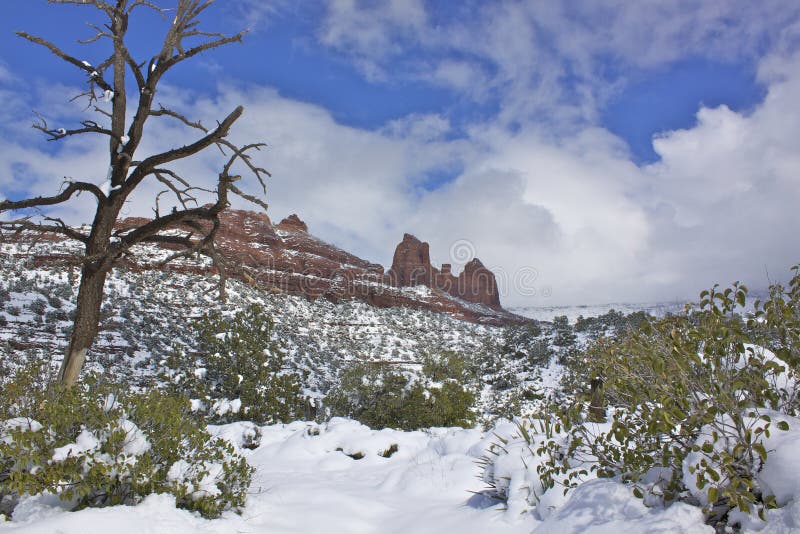 Snow in Sedona stock image. Image of geologic, trees - 23941783