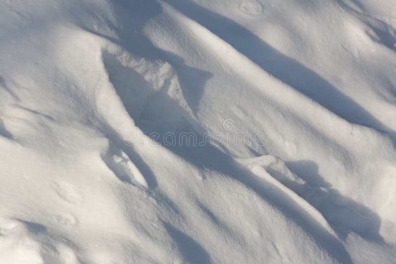 Snow Shadows stock image. Image of abstract, blizzard - 13044231