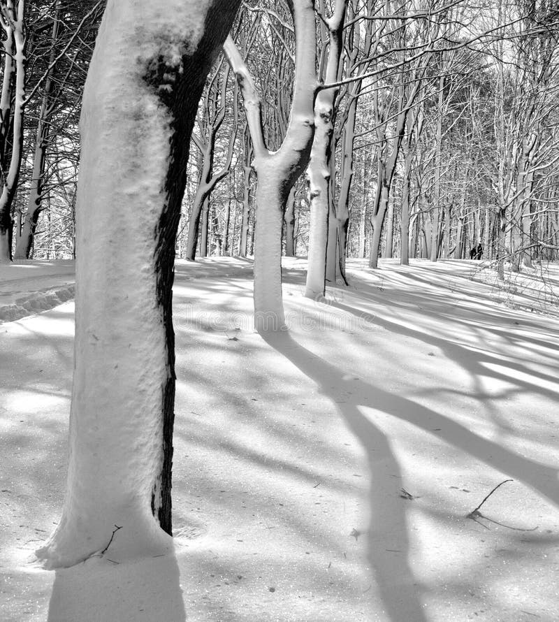 Ruth H Curtis (Freespirit296) - Photographer profile