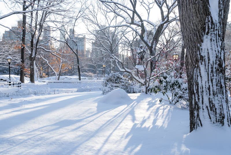 Snow Shadows stock photo. Image of central, winter, york - 36339506