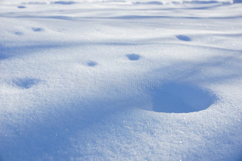 Snow and Shadows. Texture Background Snow Surface the Snow Stock Image ...