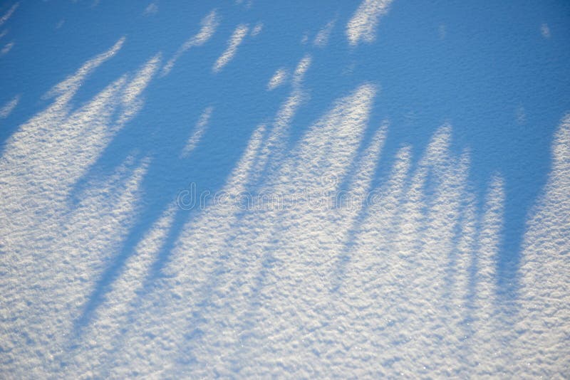 Snow with Shadows for Texture or Background at Sunny Day, Bright Light ...