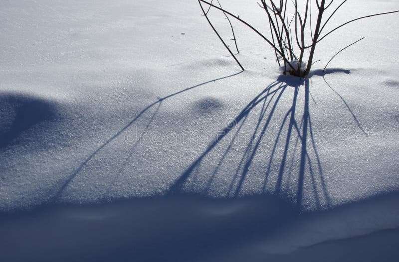 Snow and Shadows. Texture Background Snow Surface the Snow. Shadows ...