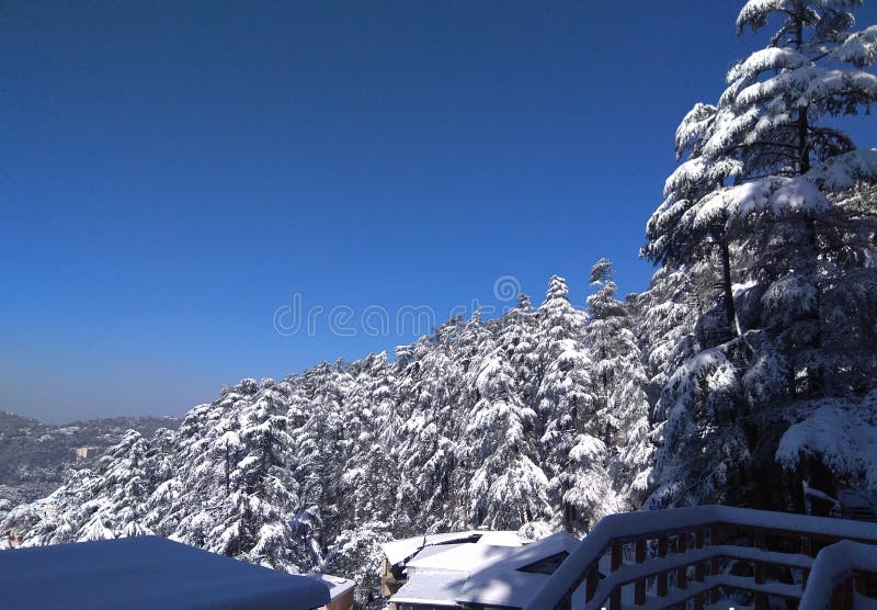 Snow in shimla stock image. Image of winter, view, frozen - 106774969