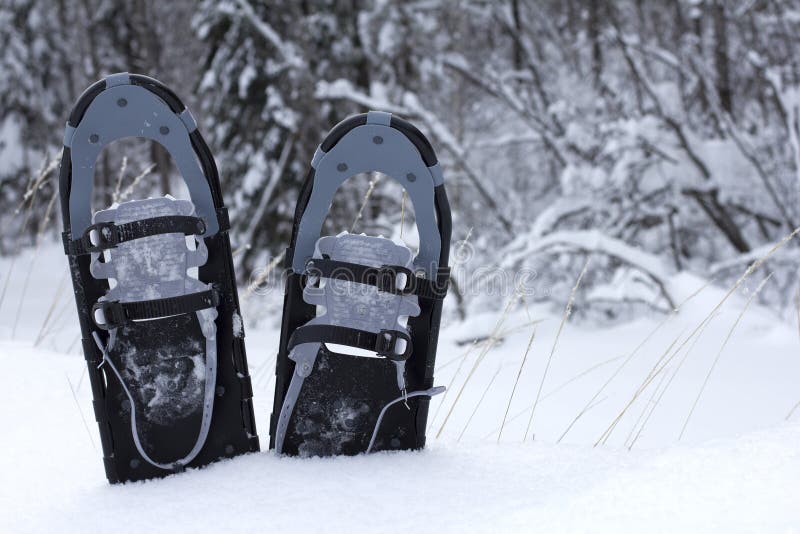 Snow shoes in the snow stock image. Image of snowy, outdoor - 28415505