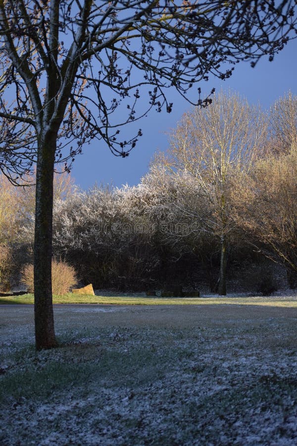 Snow showers in Spring stock photo. Image of close, shadows - 215429502