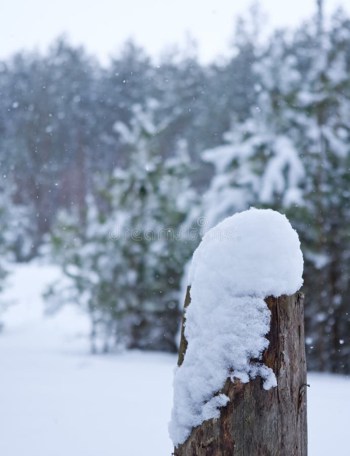 Snow on the side of a post stock photo. Image of side - 27014676