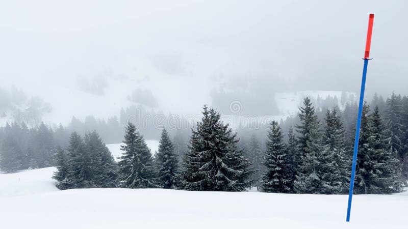 Snow and View of the Forest Form Skiing Track Stock Footage - Video of ...