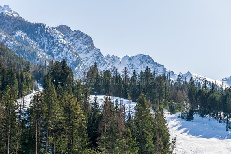 Snow Ski Slope between Green Trees High in the Mointains Landscape ...