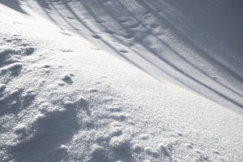 Snow slope background stock photo. Image of light, bush - 83450316