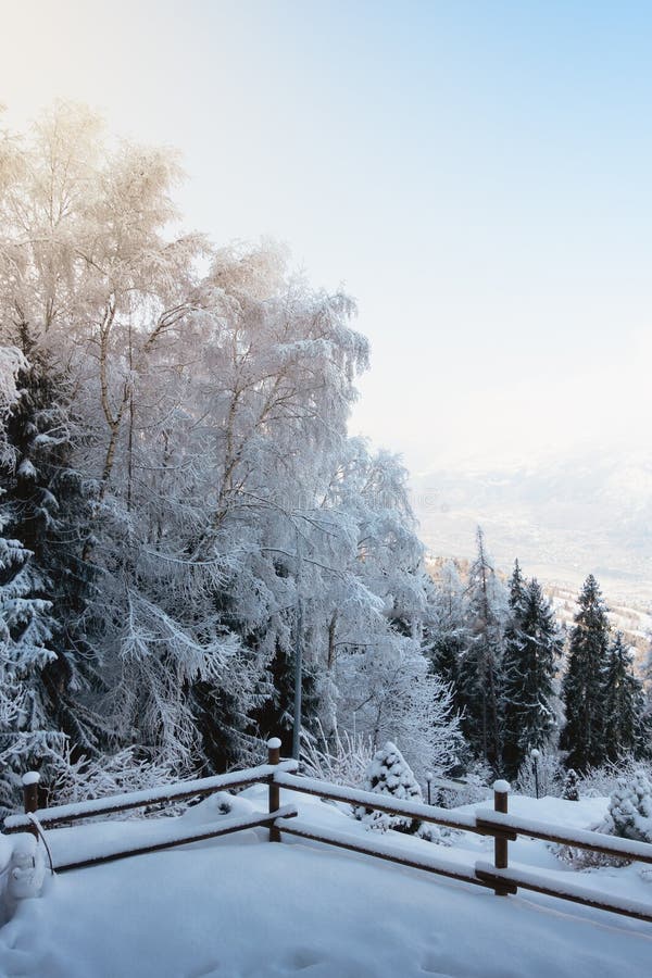 Snow in Small Backyard and Woods Stock Image - Image of morning, cool ...