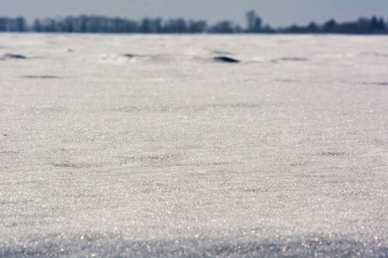 Snow Sparkles in Sunlight on the Field with Tree Line on the Background ...