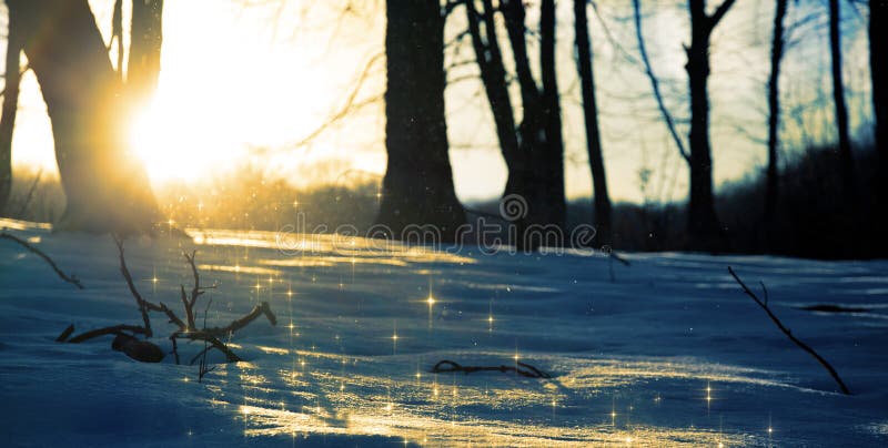 Snow Sparkling in the Rays of the Setting Sun Stock Photo - Image of ...