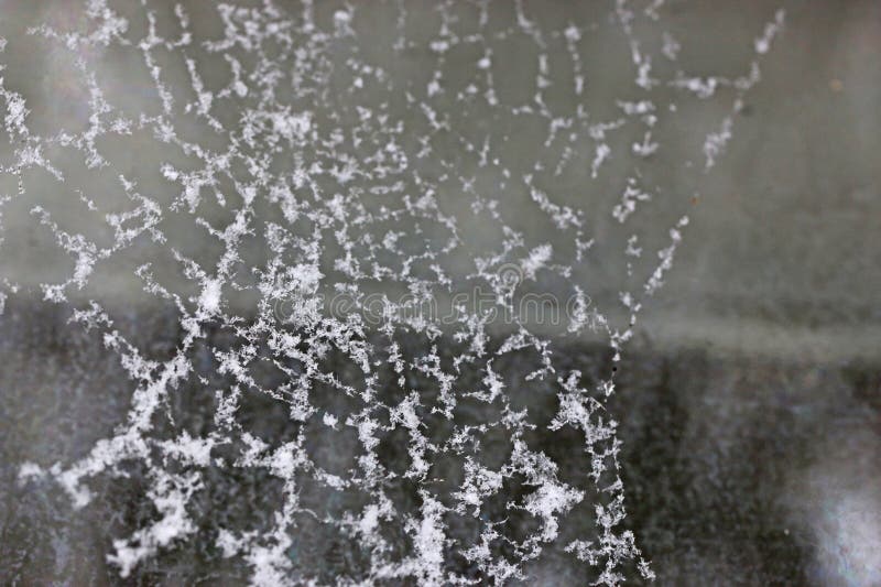 Snow on a spiders web stock photo. Image of silk, winter - 274220048