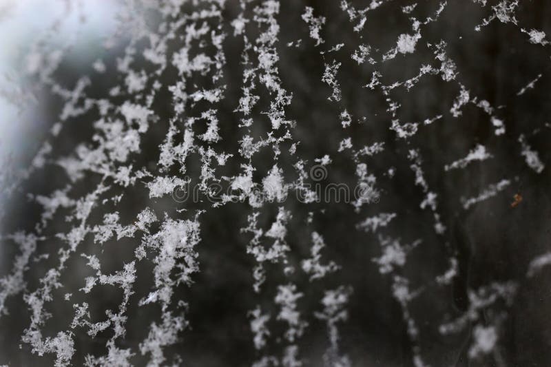Snow on a spiders web stock image. Image of spiderweb - 285061105