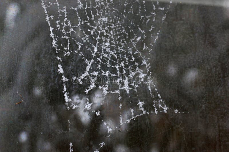 Snow on a spiders web stock image. Image of spiderweb - 277445261