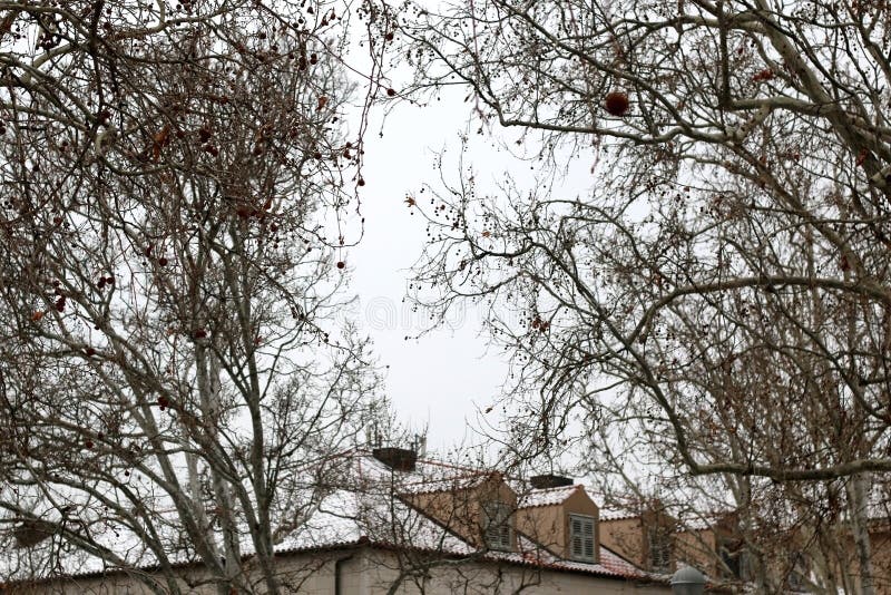 Snow in Split, Croatia stock photo. Image of cold, ruin - 168805436