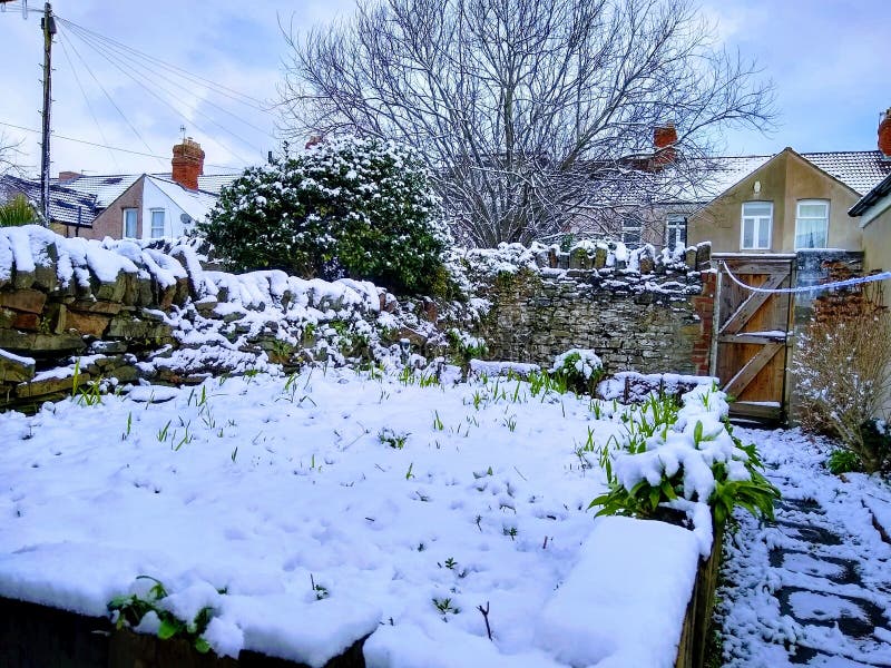 The Snow that Spring Brings Stock Photo - Image of frost, blossom ...