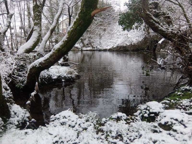 Snow in spring stock image. Image of walks, snow, spring - 146320435