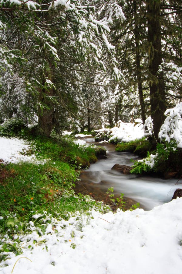 Snow at spring season stock photo. Image of season, landscape - 2502786