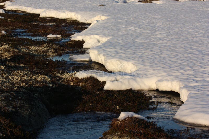 Snow in the Spring the Tundra. Stock Photo - Image of spring, setting ...
