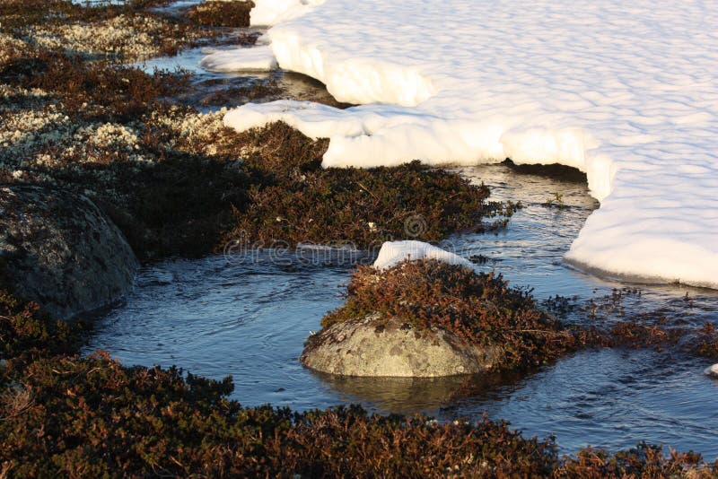 Snow in the Spring the Tundra. Stock Image - Image of moss, evening ...