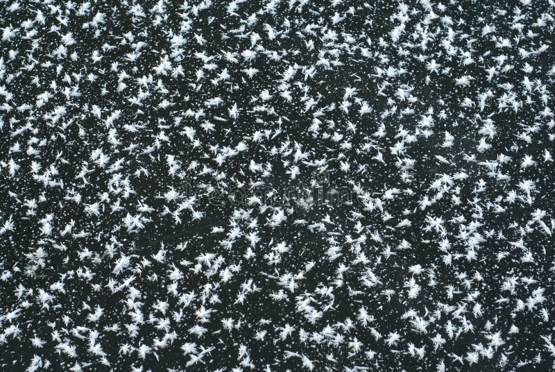 Snow stars stock photo. Image of star, crystal, snow, abstract - 1838370