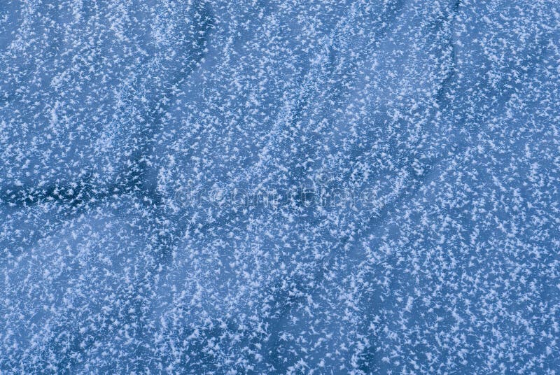 Snow Stars Picture. Image: 1838381