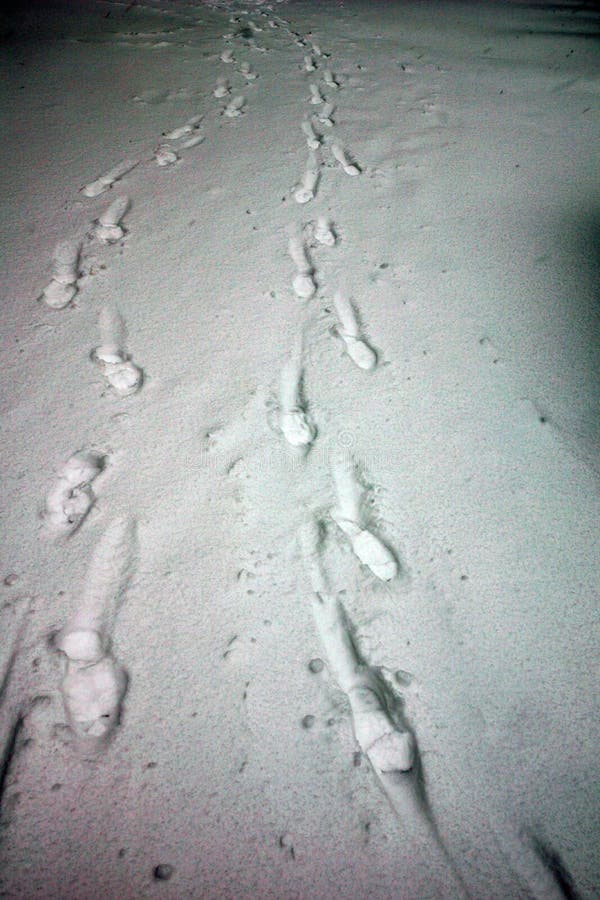 Snow Steps Pathway in Winter Landscape Stock Image - Image of texture ...