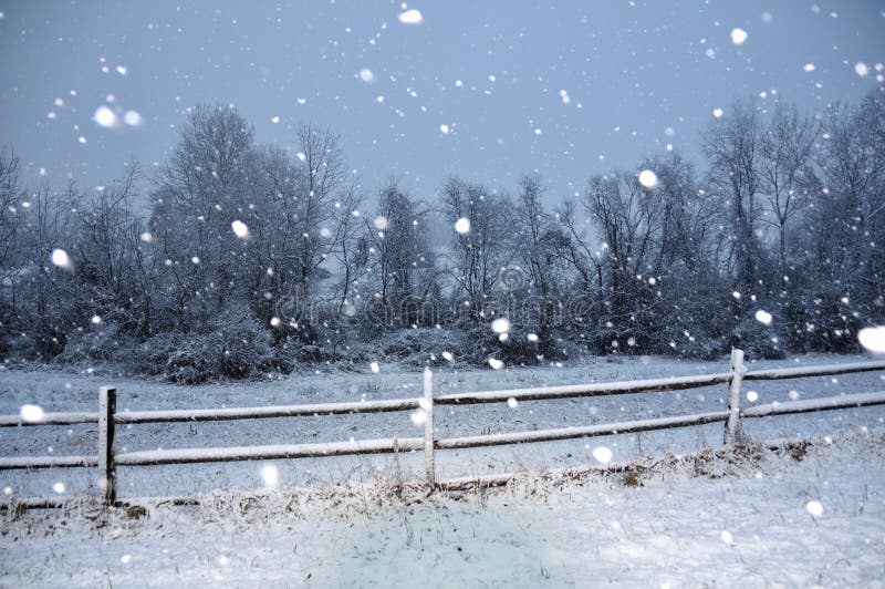 Snow storm stock photo. Image of season, cold, winter - 12460970