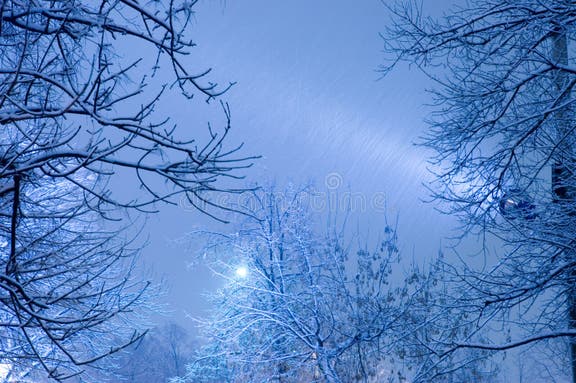 Snow storm stock image. Image of dark, december, outdoors - 1669029