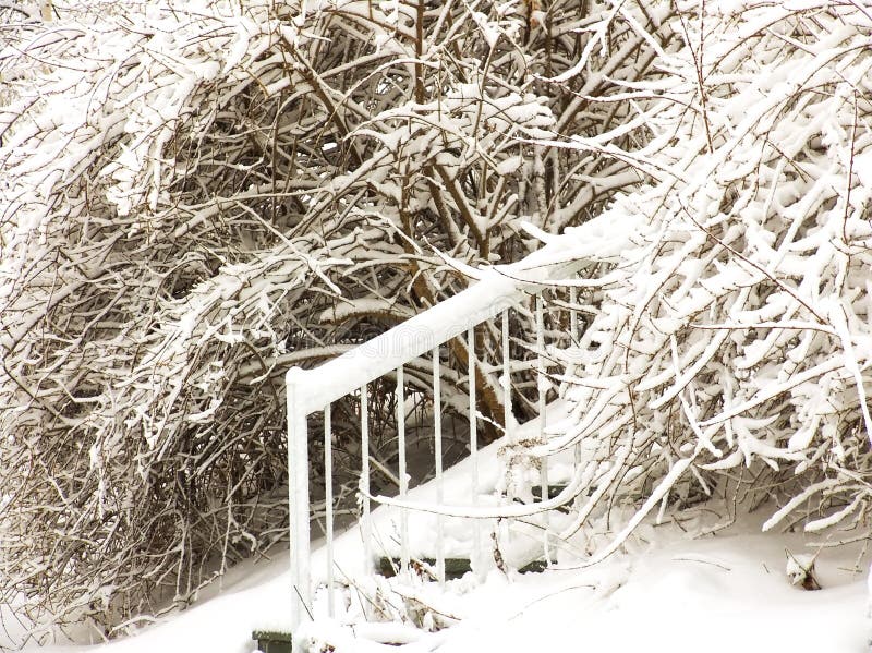 After Snow Storm stock photo. Image of weather, canada - 5169018