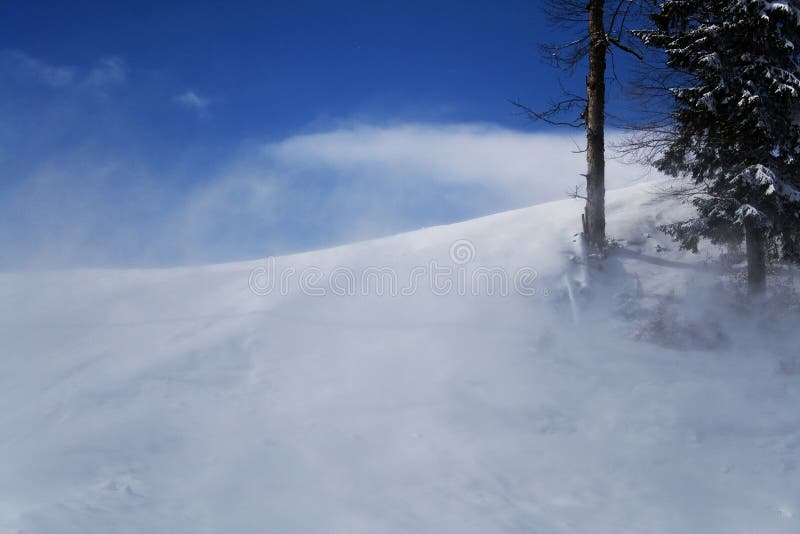 Snow-storm stock image. Image of frozen, beauty, storm - 7600915