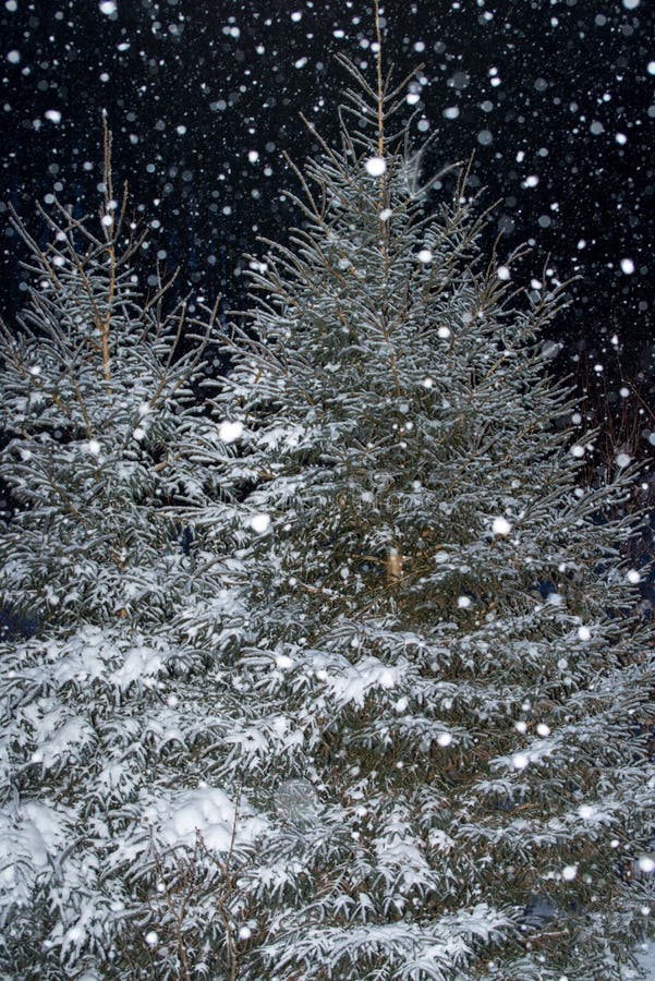 Snow Storm early evening stock image. Image of nature - 63710889