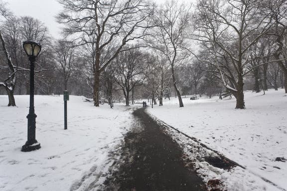 Snow storm in the park stock photo. Image of city, snow - 17790126