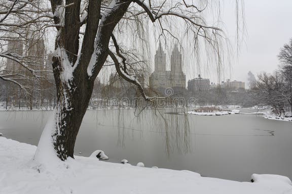 Snow storm in the park stock image. Image of city, central - 4570935
