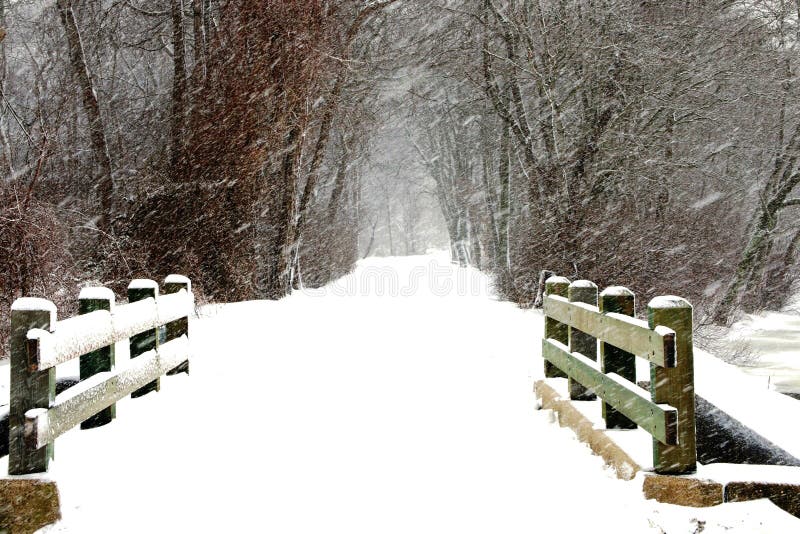 Snow storm in the park stock photo. Image of landscape - 83358838