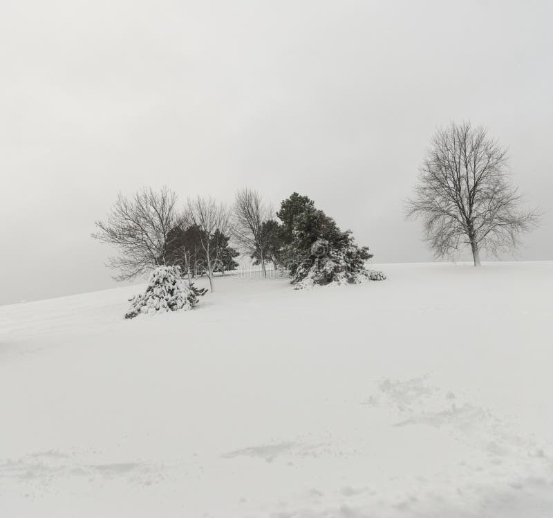 After the Snow Storm in the Park Stock Photo - Image of snow, winter ...