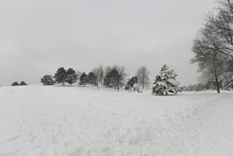 After the Snow Storm in the Park Stock Image - Image of parc, trees ...