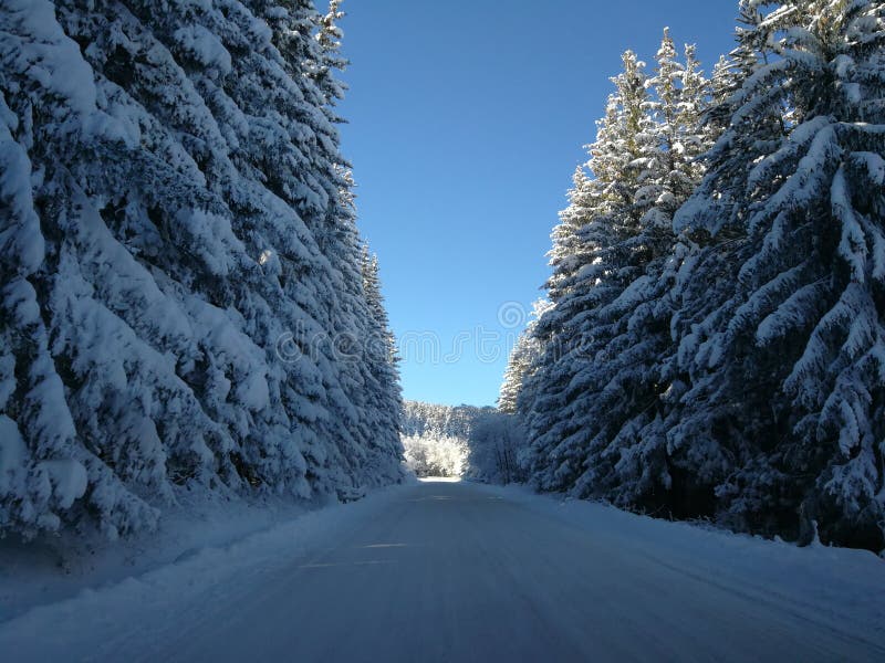 Snow Street stock photo. Image of street, trees, mountains - 113046778
