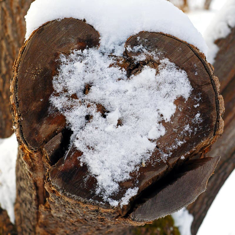 Snow on Stump in the Shape of a Heart Stock Image - Image of cold ...