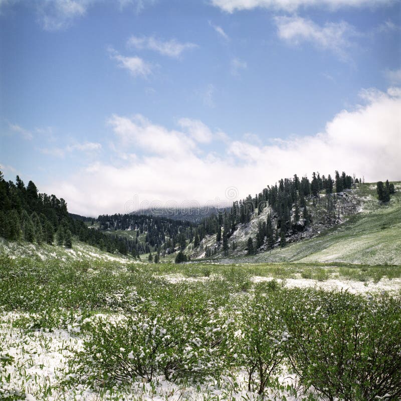 Snow Capped Mountains Under The Cloudy Skies Picture. Image: 116371473