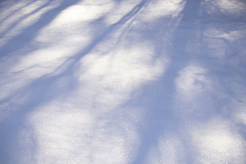 Snow Surface with Early Sunlight and Shadow Stock Photo - Image of ...