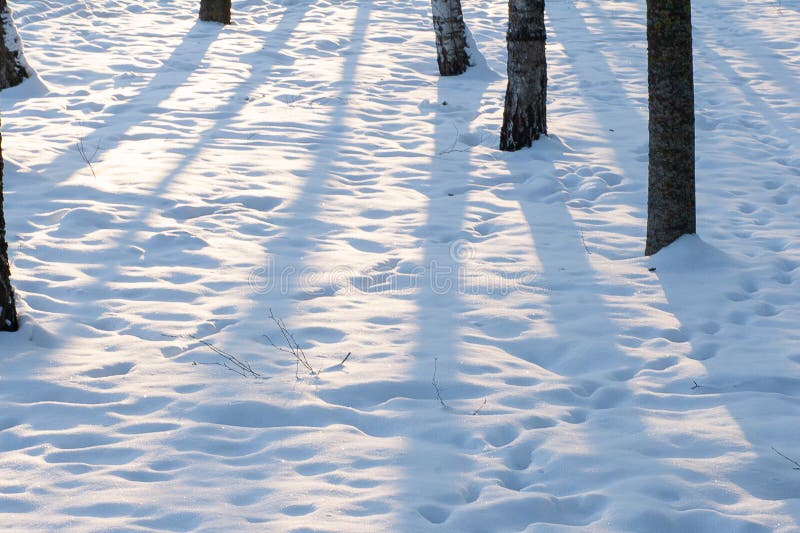 High Angle View of Snow Covered Field, Stock Image - Image of frost ...