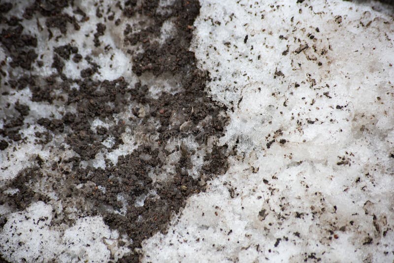 Snow surface with mud stock photo. Image of seasonal - 146690336