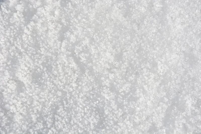 Snow surface stock photo. Image of polar, natural, clean - 55265408