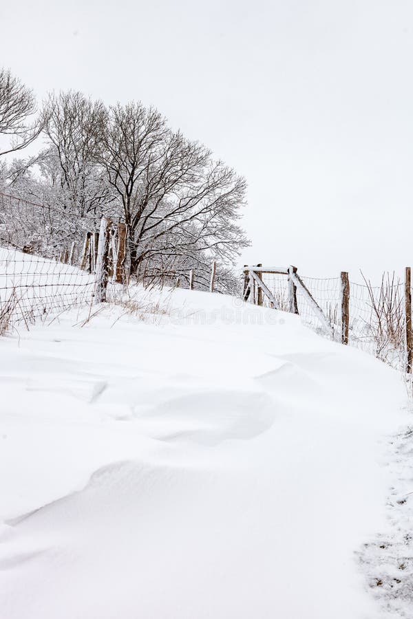 A Snow-swept Path Leads To the Mountain Stock Photo - Image of europe ...