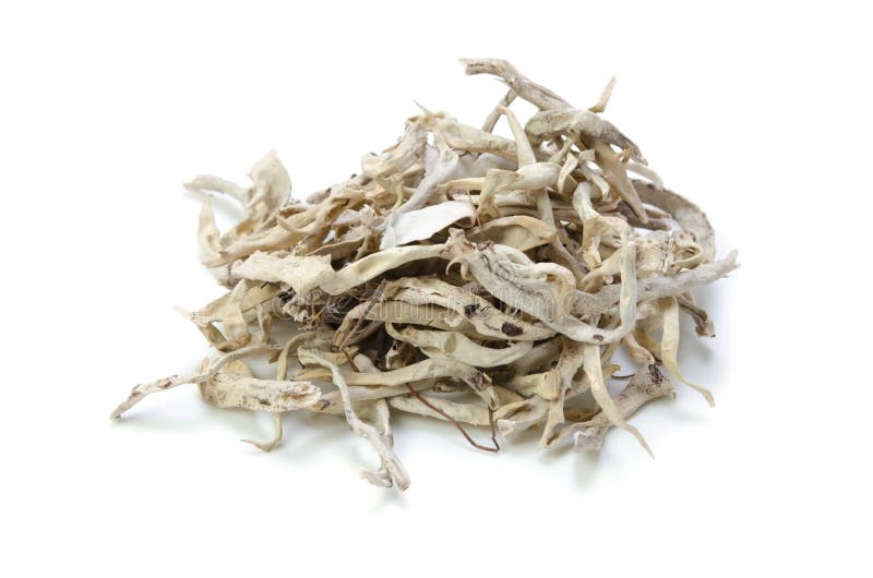 Snow tea stock image. Image of cook, healthy, diet, fresh - 24976059