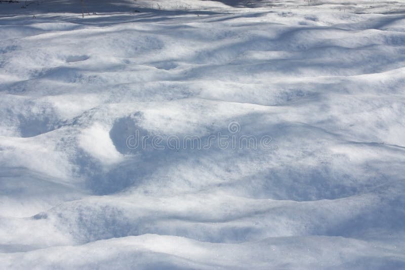 Snow texture stock image. Image of brightly, cold, nature - 13437247